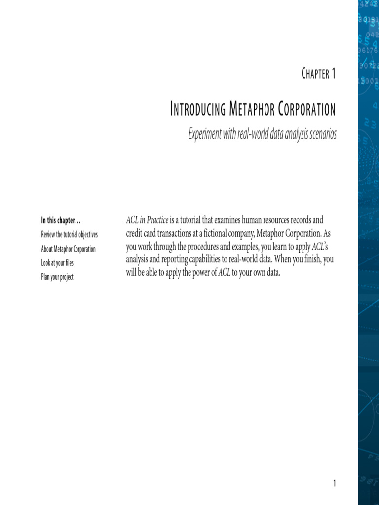 ACL in Practice Organized CHAPTER 1 | PDF | Databases | Credit Card