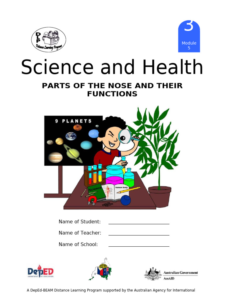 Science 3 DLP 5 - Parts of The Nose and Their Functions | PDF | Senses ...