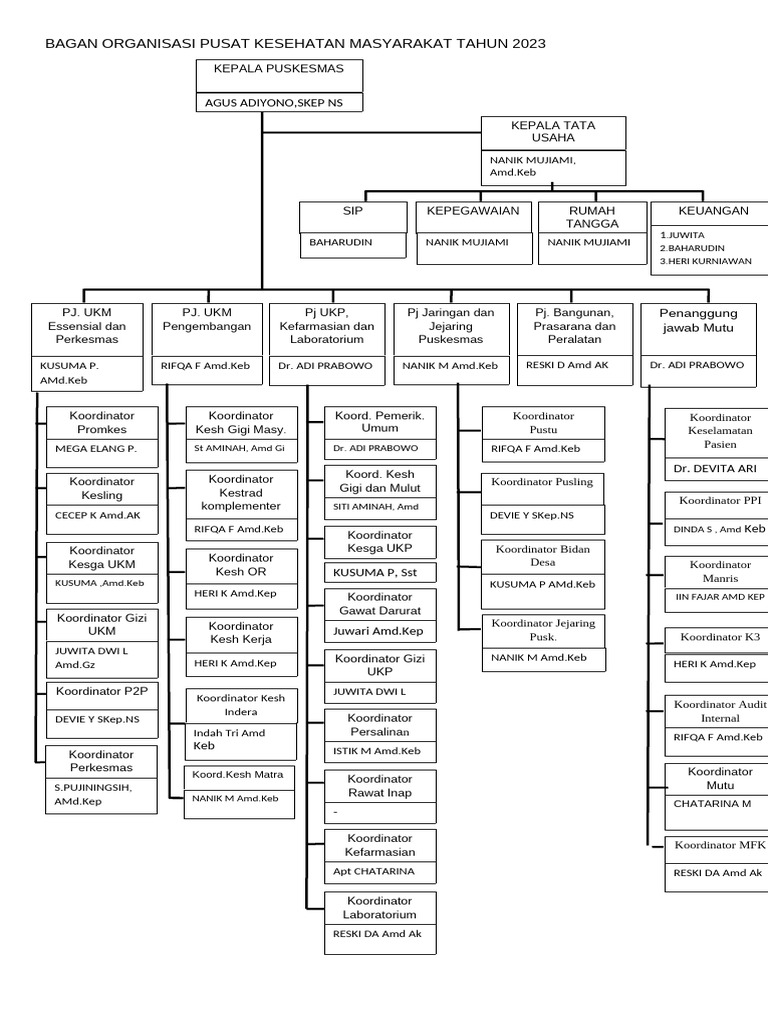 BAGAN ORGANISASI PUSAT KESEHATAN MASYARAKAT ( SOTK ) KOSONGAN | PDF