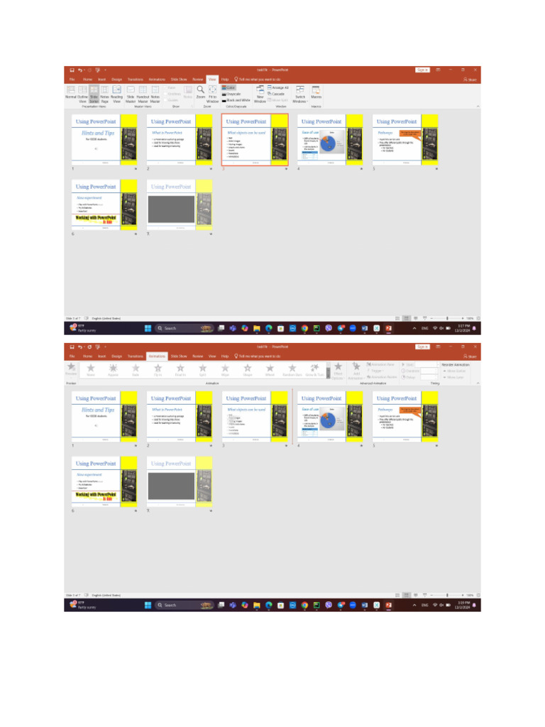 Evidence of Animation | PDF