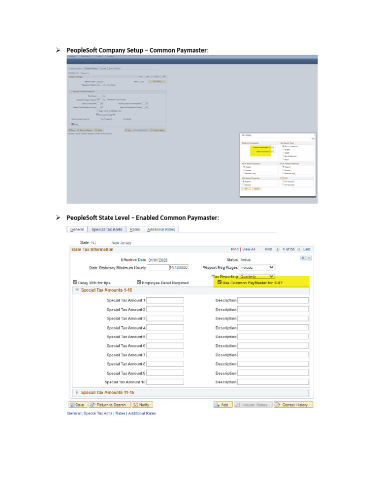 PeopleSoft Common Paymaster Setup | PDF