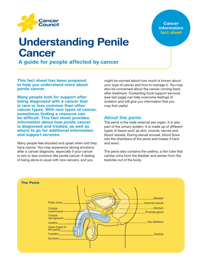 Penile Cancer Factsheet | PDF | Radiation Therapy | Cancer