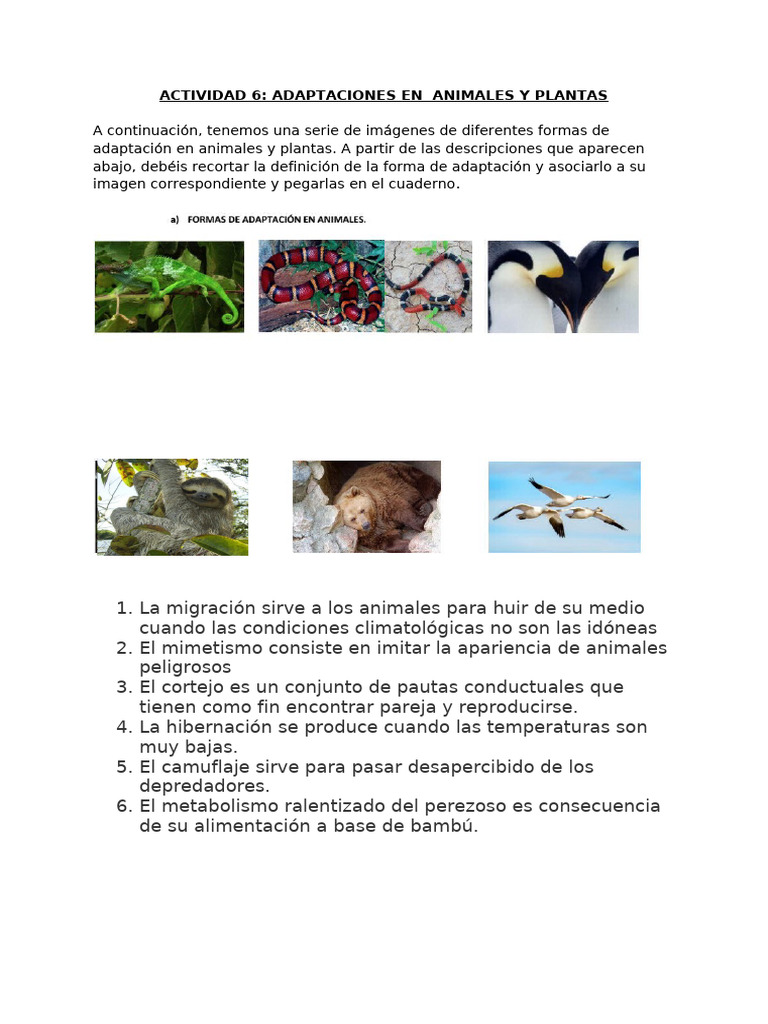 Adaptaciones de Animales y Plantas | PDF