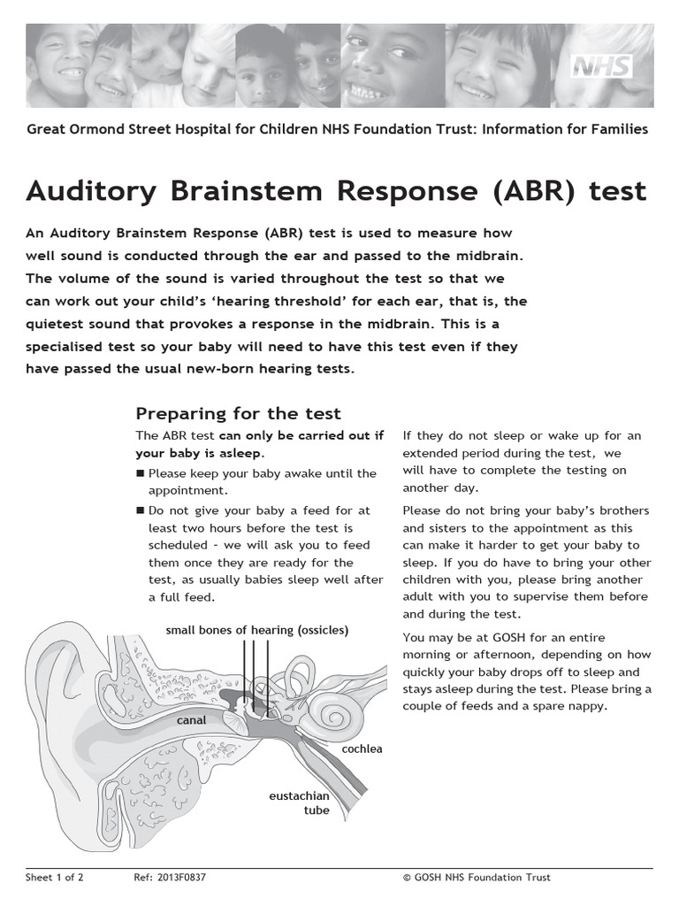 ABR Test Guide for Families | PDF | Hearing | Ear