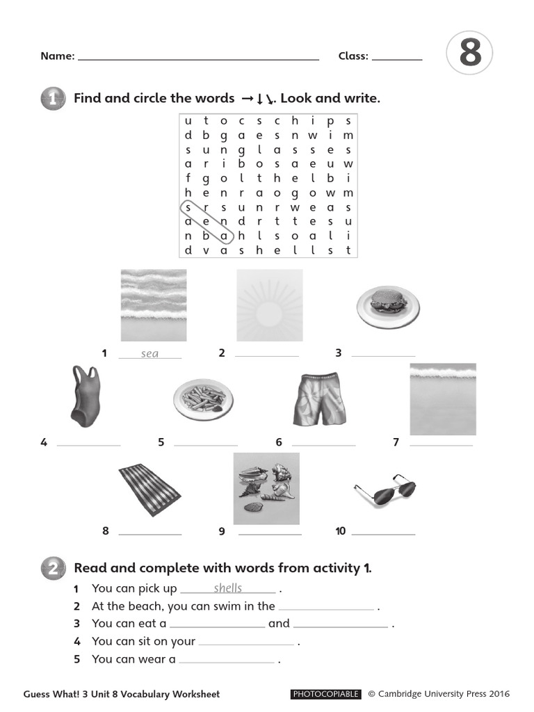 Guess What! 3 Unit 8 Worksheets | PDF