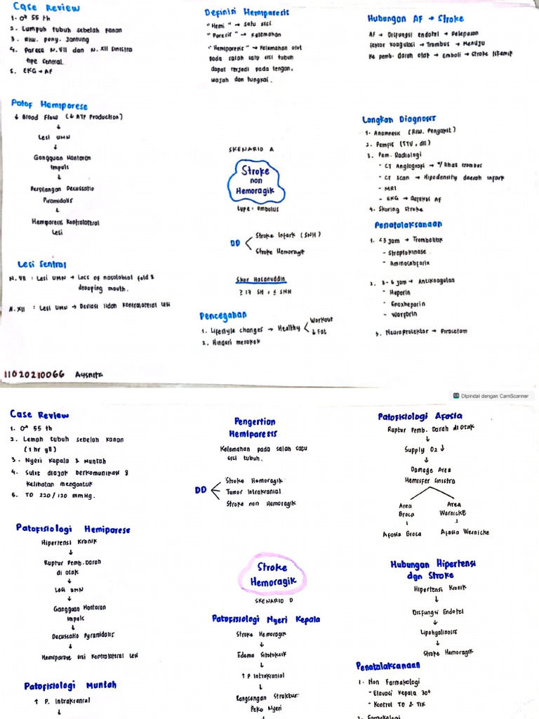 ?SOOCA NEUROPSIKIATRI? | PDF