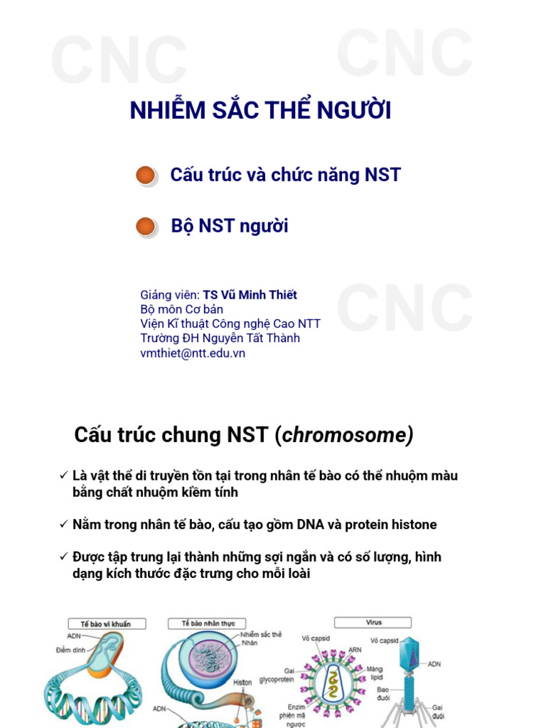 Buoi 5_1_NST nguoi_231103_111358 | PDF