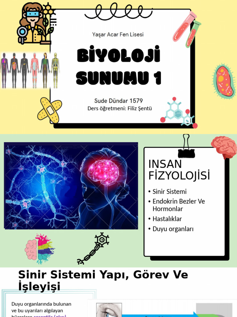 bio Sunu1 | PDF