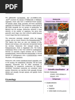 Iso Handbook: The Integrated Use of Management System Standards (IUMSS ...