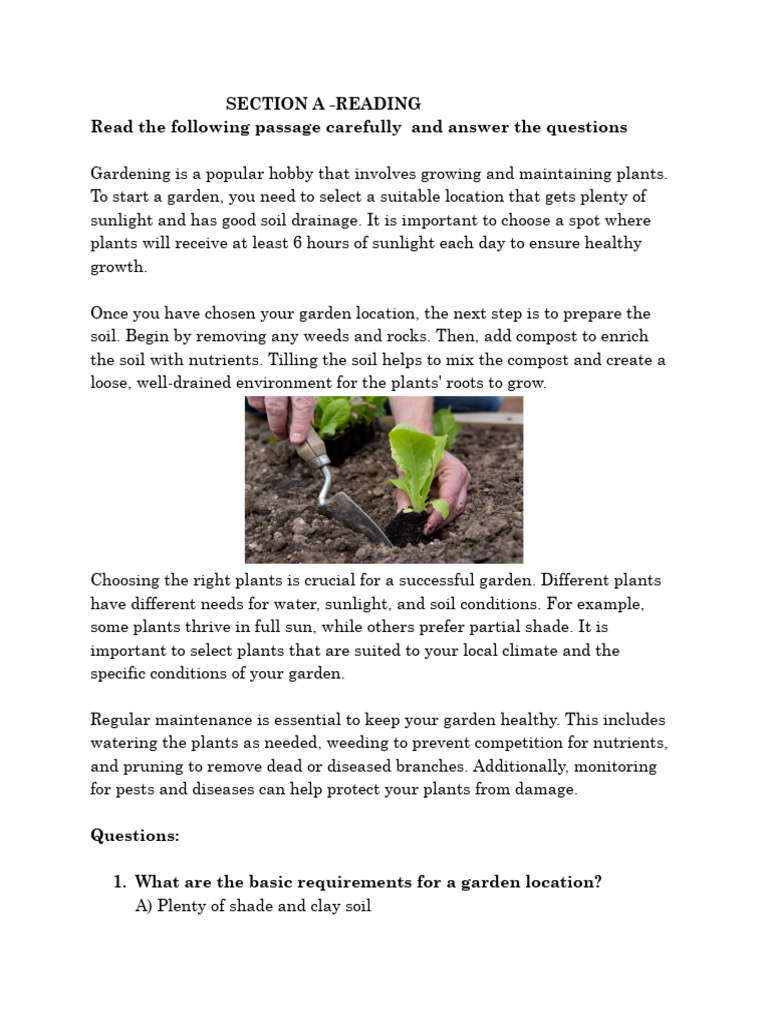 g7- English Practice Worksheet | PDF | Soil | Compost