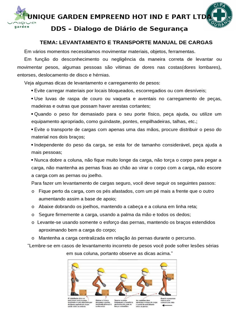 DDA - Levantamento e Transporte Manual de Carga | PDF