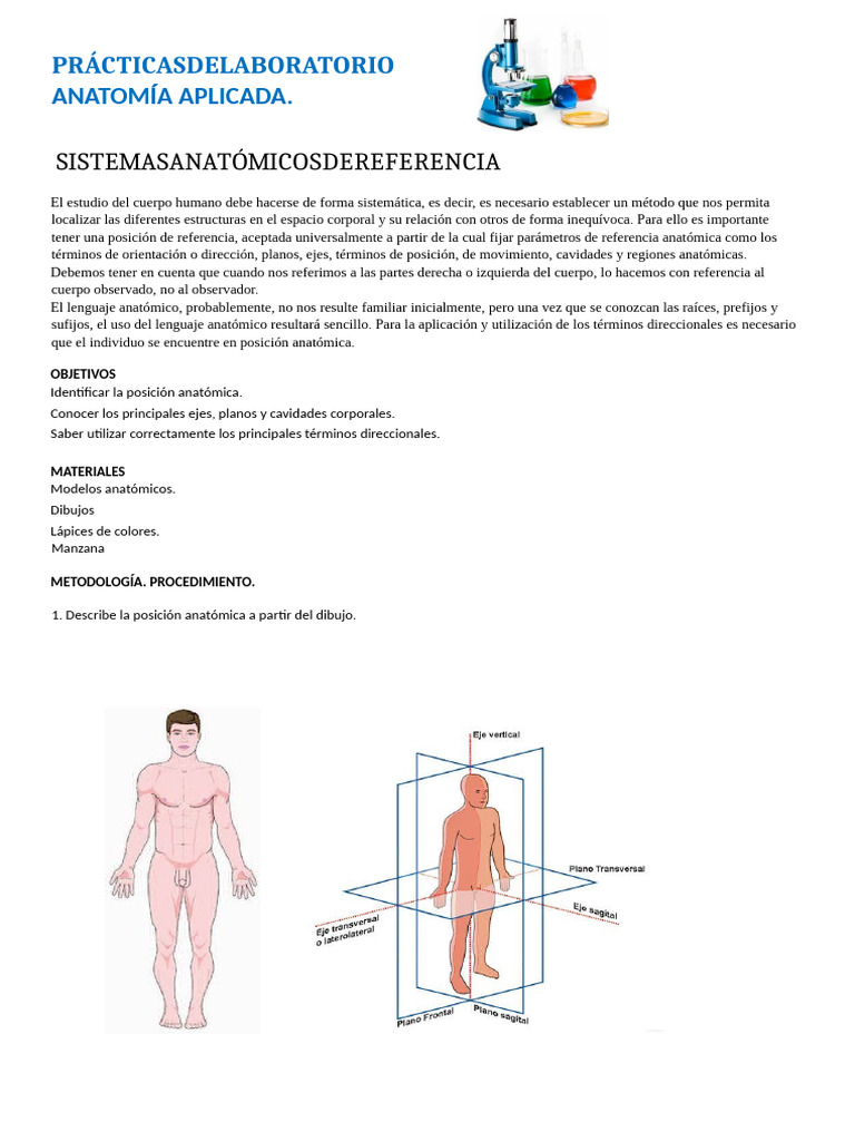 Pr-cticas de Laboratorio 1.Docx | PDF