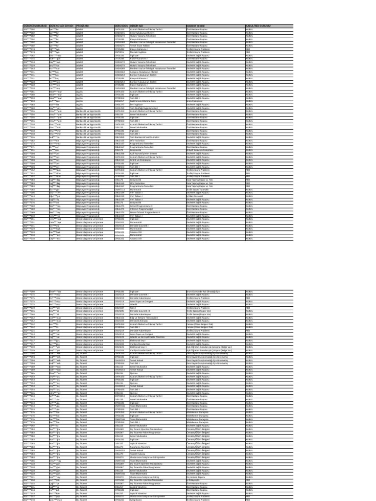 g2024 2025 Güz Dönemi Vize Mazer | PDF