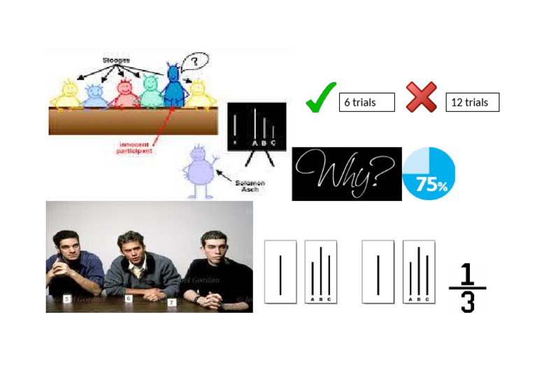Asch Experiment: Conformity Insights | PDF