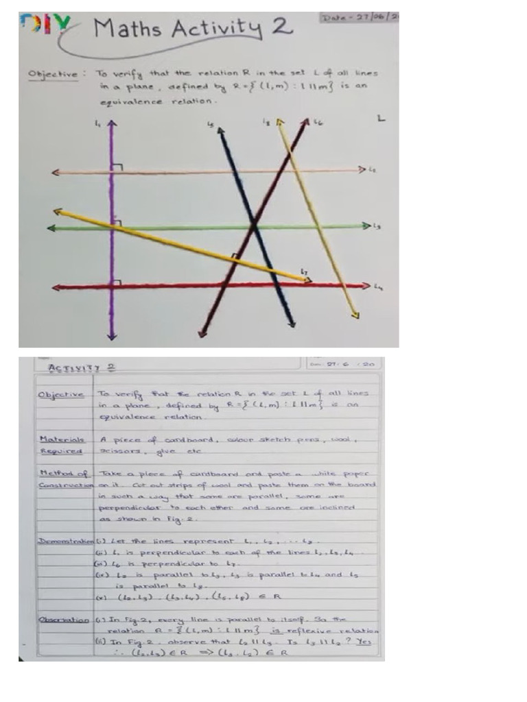 Lab Activity of Maths Class XII | PDF