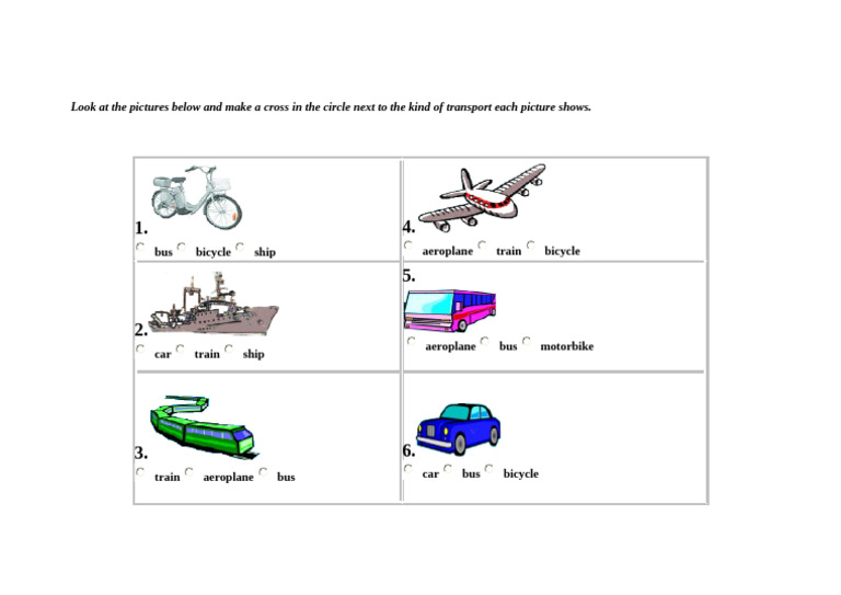 Identify Transport Types Activity | PDF