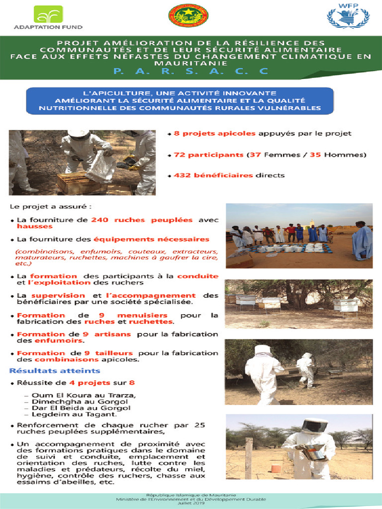 Poster Apiculture Final A4 | PDF