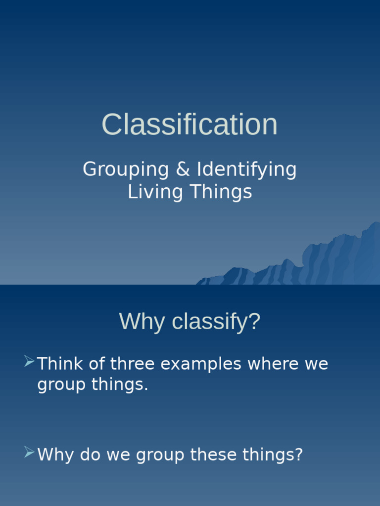 How Are Animals Properly Classified | PDF | Egg | Invertebrate