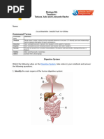 Digestive System Grade8 MATATAG PART1 | PDF