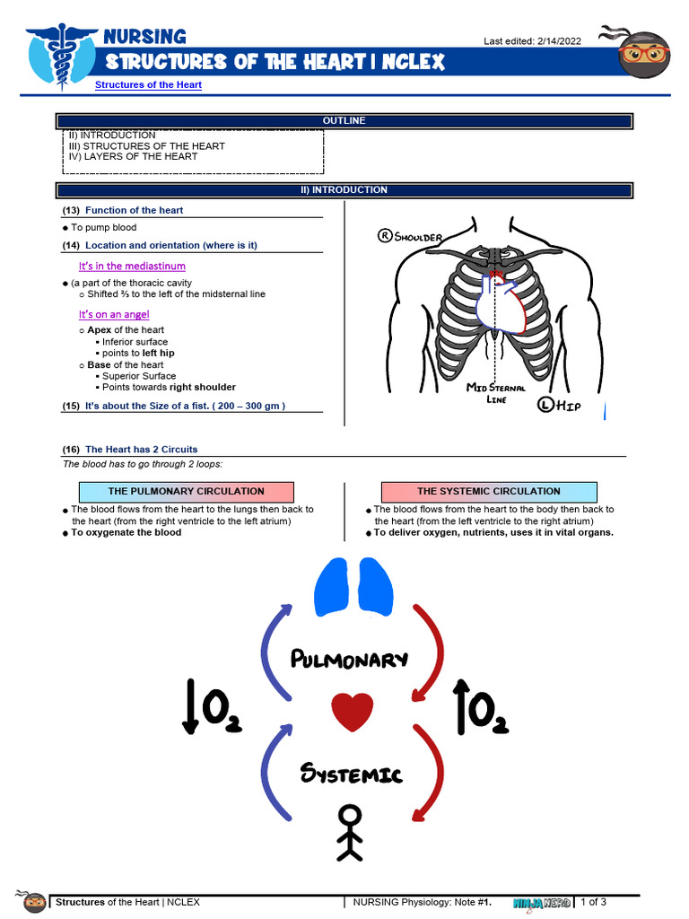Nursing Physiology - 001) Structures of The Heart - NCLEX (Notes) | PDF ...