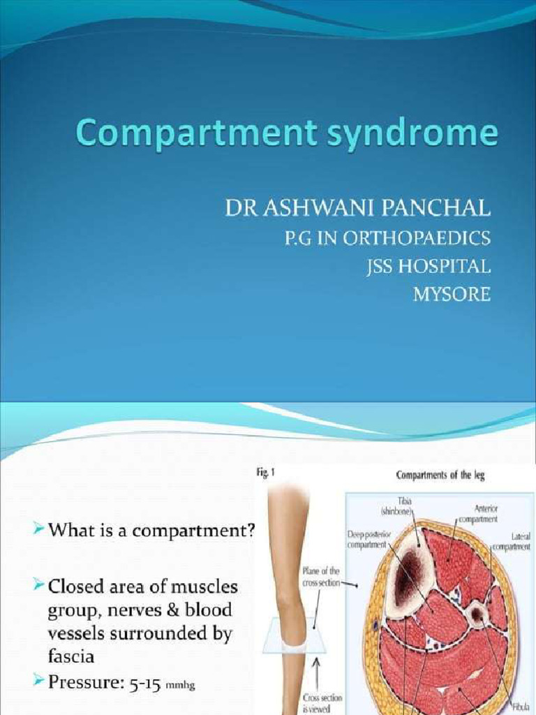 e25d9f36-ae33-437e-a503-2b3df7e5200e | PDF