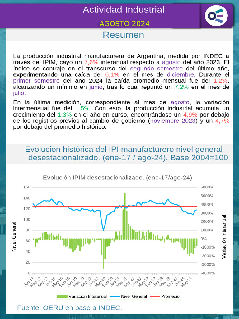 Caída del IPIM en Argentina: Análisis 2024 | PDF | Economias