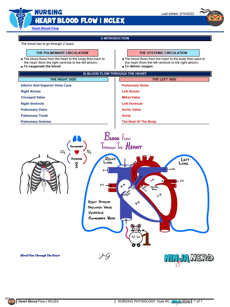 Nursing Physiology - 001.1) Blood Flow Through The Heart - NCLEX (Notes ...