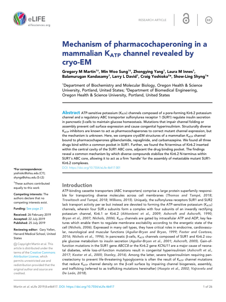 Mechanism of pharmacochaperoning in a mammalian KATP channel revealed ... Mechanism of pharmacochaperoning in a mammalian KATP channel revealed ...