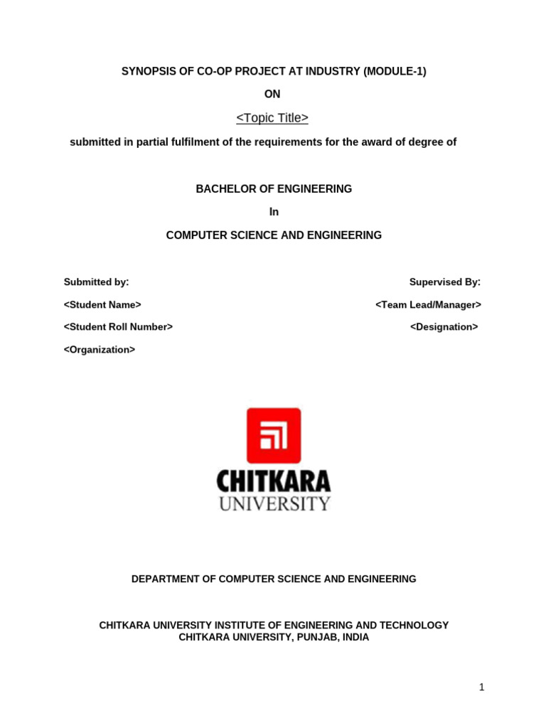 Co-Po - 1 - Synopsis Format | PDF