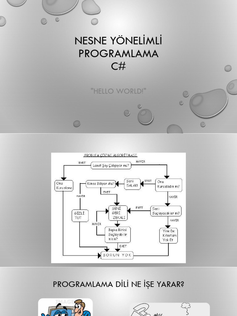 Nesne Yönelimli Programlama CS | PDF
