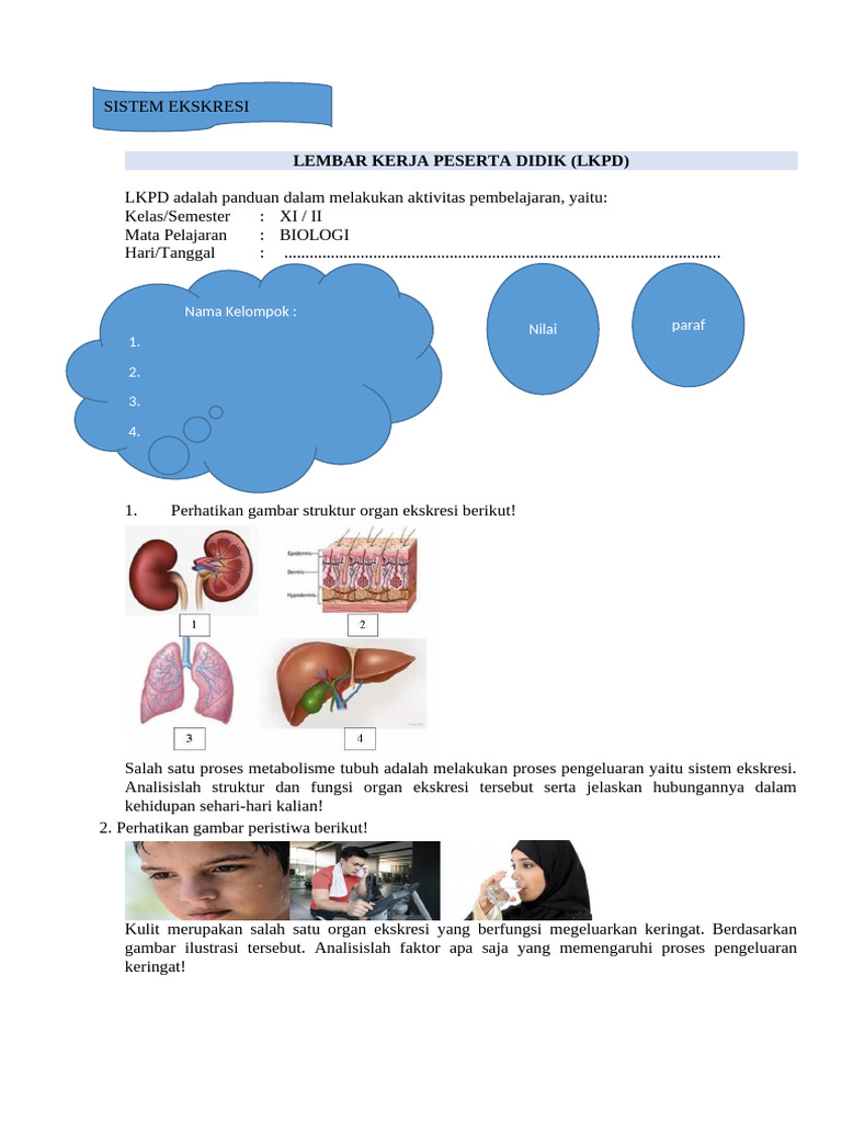 LKPD Sistem Ekskresi | PDF