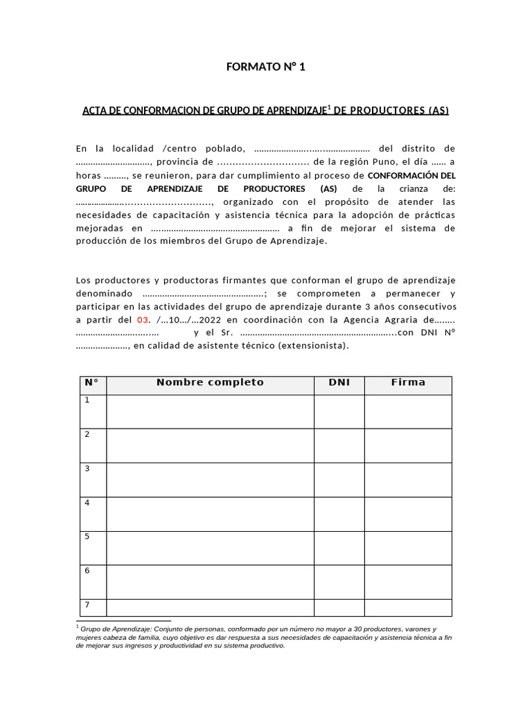 Formatos 1er Entregable Cerda | PDF