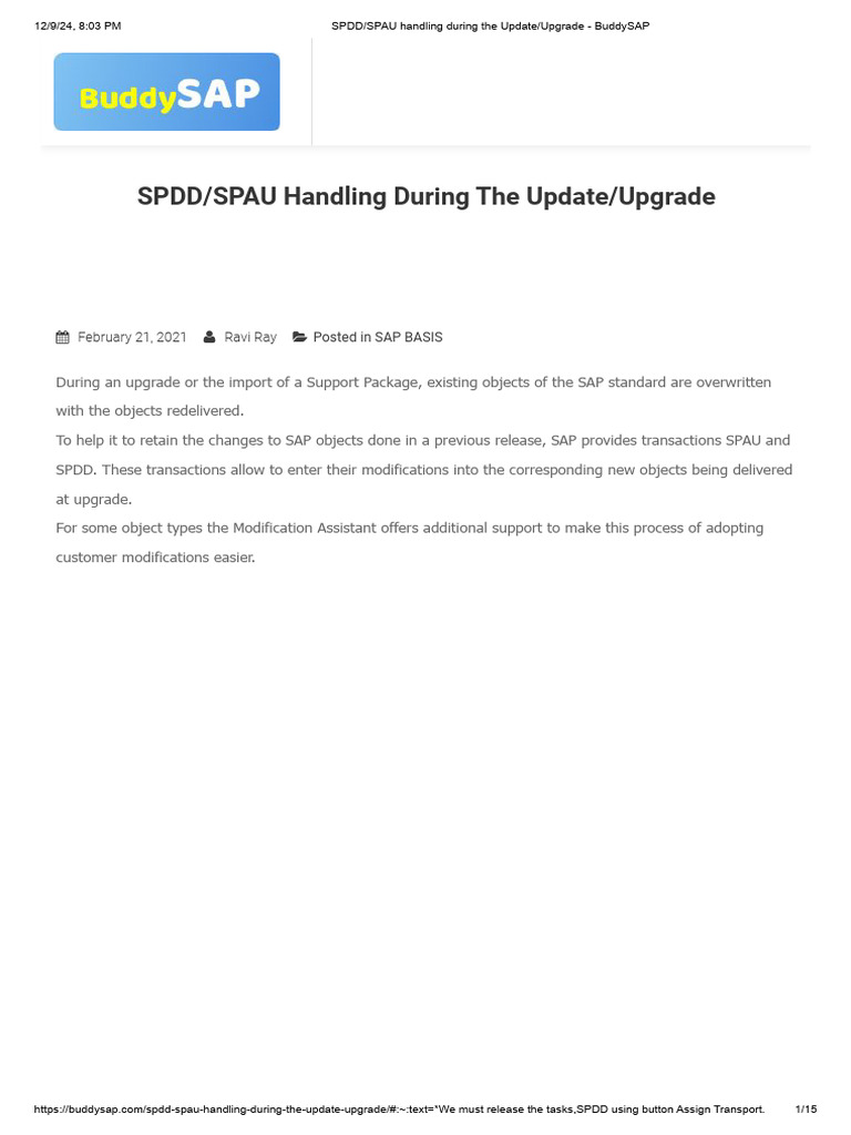 SPDD and SPAU Usage in SAP Upgrades | PDF | Databases | Computer File
