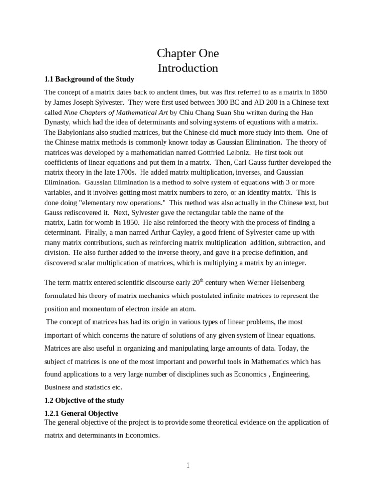 Matrix & Its Application in Economics Proj1 Bo | PDF | Matrix (Mathematics) | Determinant