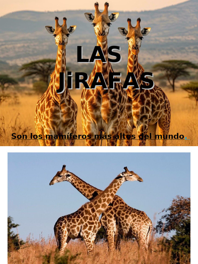 Power Jirafas | PDF