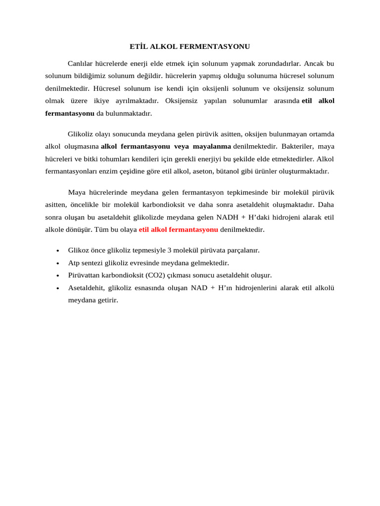 Etil Alkol Fermentasyonu | PDF
