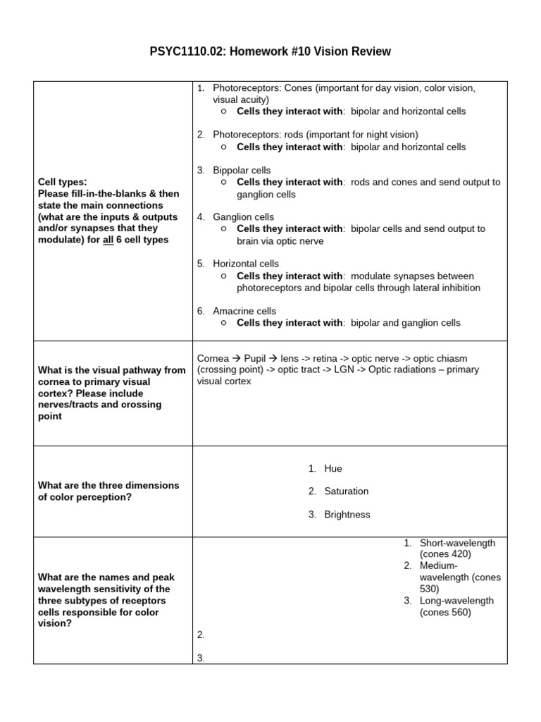 Vision worksheet | PDF | Visual System | Sensory Organs