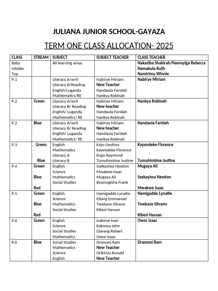 Class Allocation 2025 | PDF | Cognition | Learning