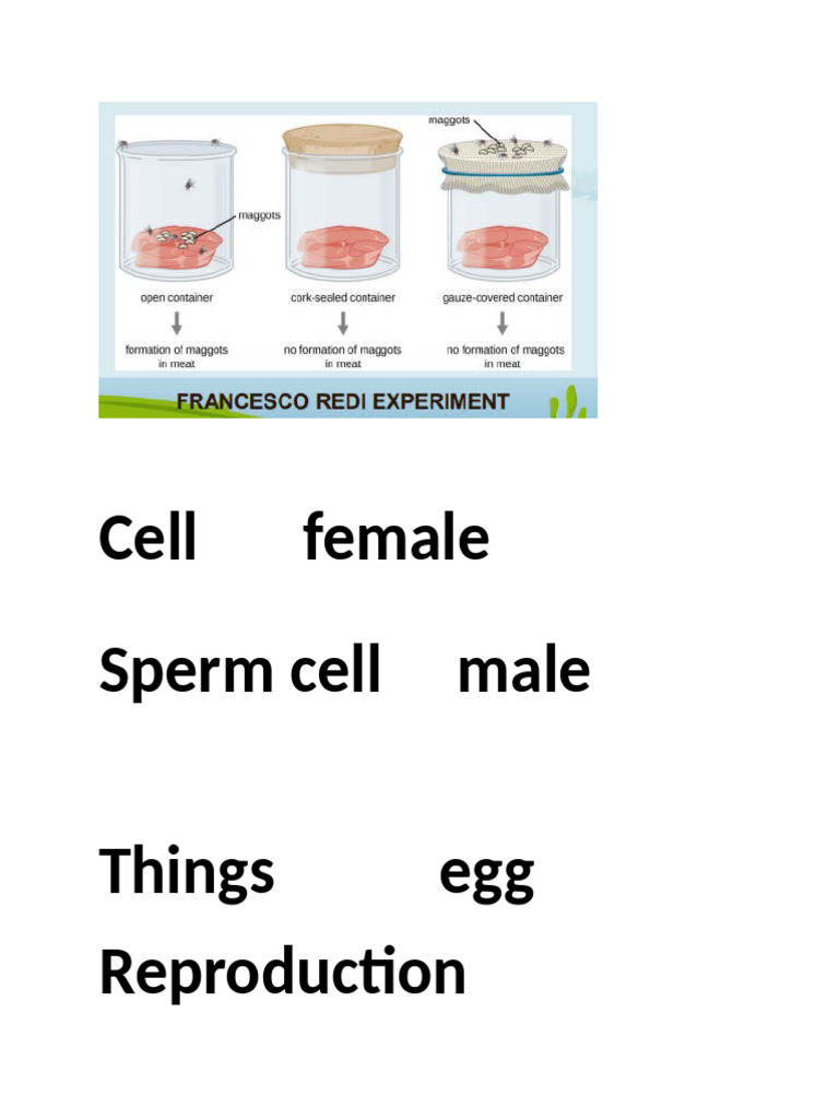 LIVING THINGS | PDF | Sexual Reproduction | Reproduction
