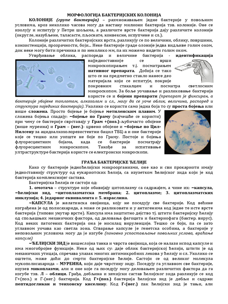 gradja bakterijske celije | PDF