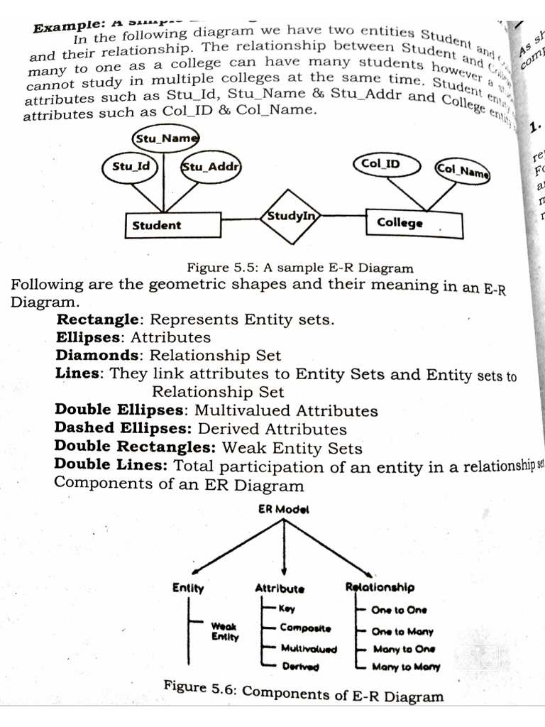 E.R Diagram and DBMS Keys | PDF