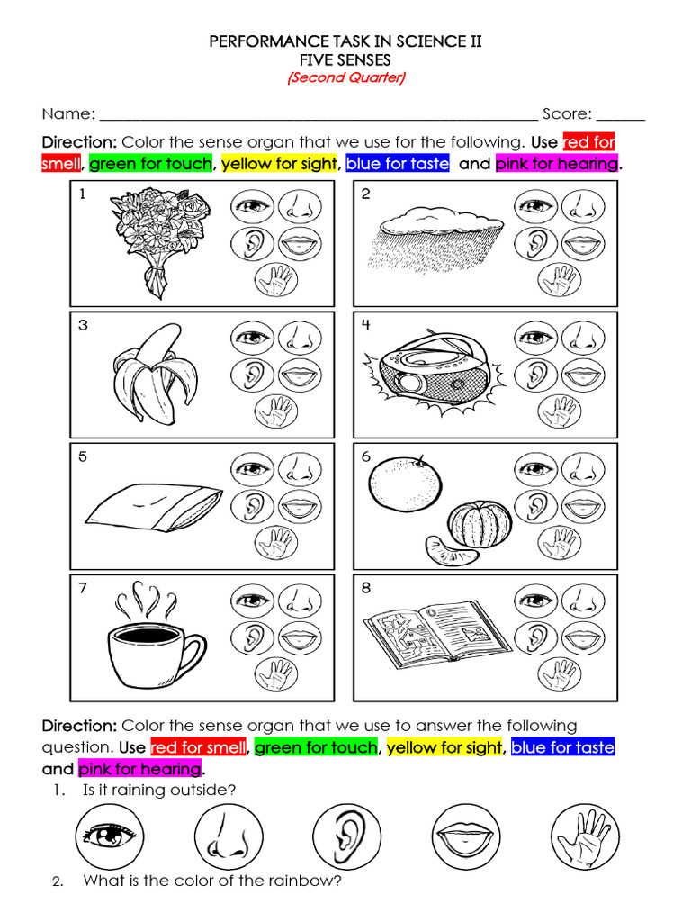 Grade 5 Performance Task: Five Senses | PDF