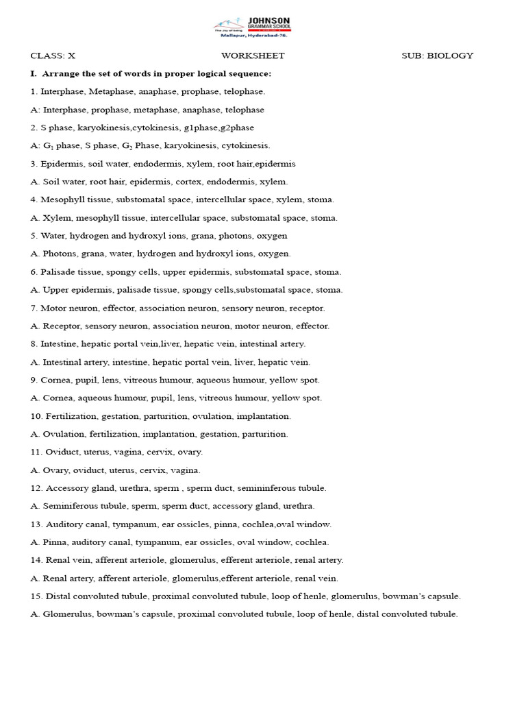 I. Arrange The Set of Words in Proper Logical Sequence | PDF | Heart Valve | Aorta