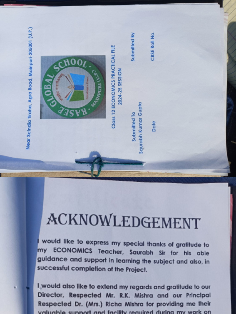 NNPfc Project File Class 12 Eco | PDF NNPfc Project File Class 12 Eco | PDF