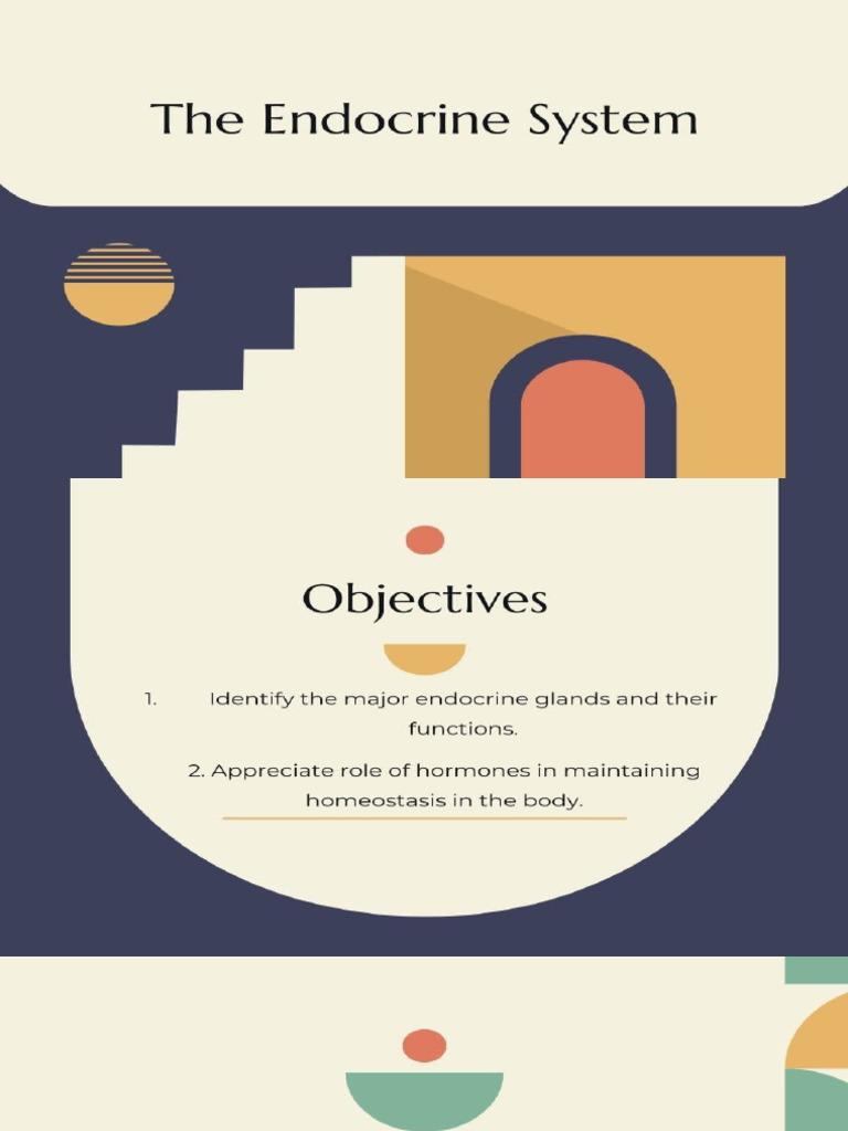 Activity - Glands of The Endocrine Sytem | PDF