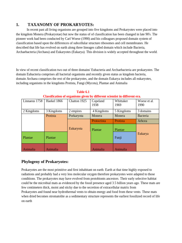 prokaryotes | PDF | Archaea | Bacteria