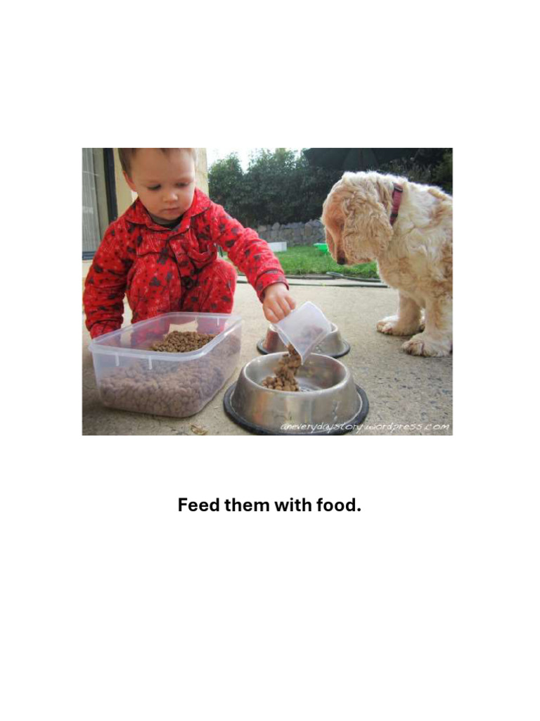 Essential Feeding Guidelines for Pets | PDF