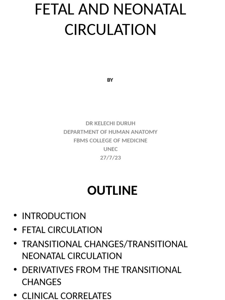Fetal and Neonatal Circulation Overview | PDF | Fetus | Aorta