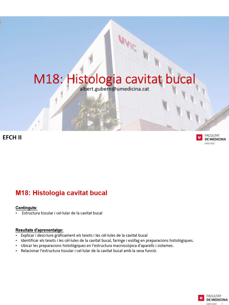 M18 Histologia Cavitat Bucal | PDF