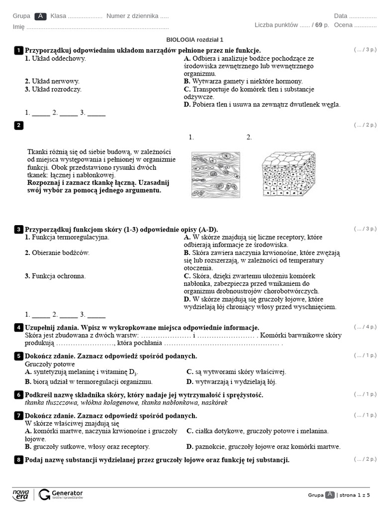 Organizm Człowieka. Skóra - Powłoka Organizmu Test | PDF